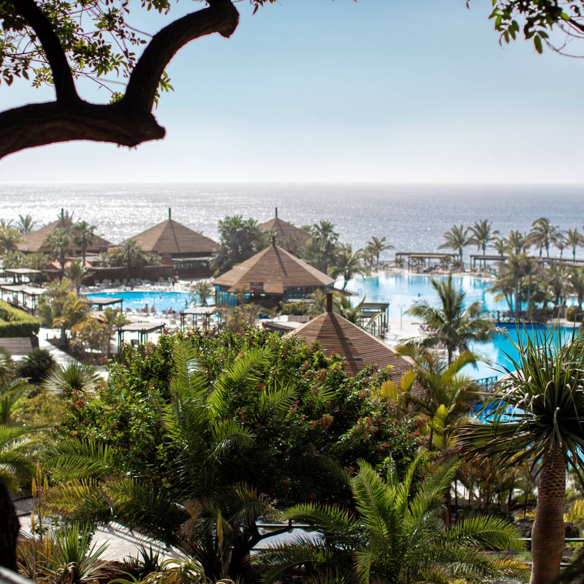 Services | 4* hotel La Palma Princess | Canaries