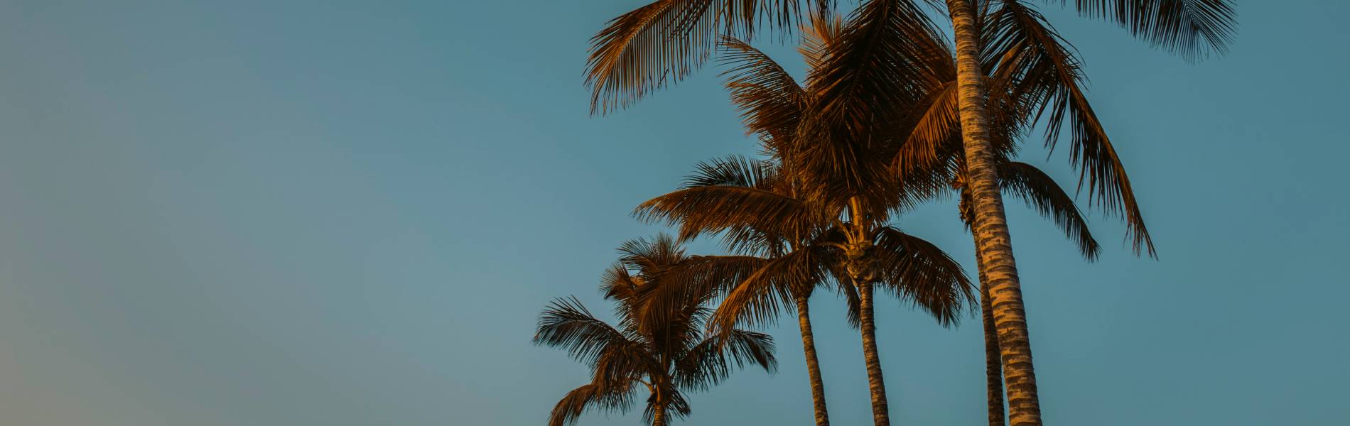 La Palma Princess 4* | Fuencaliente - Web oficial